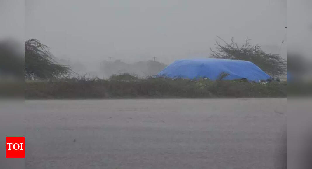 Cyclone Fengal Hits Tamil Nadu and Puducherry: Rainfall, Precautions ...