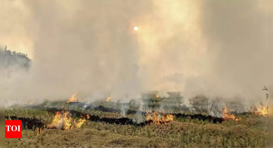 Farm fires at record low but impact on Delhi air still high | Delhi ...