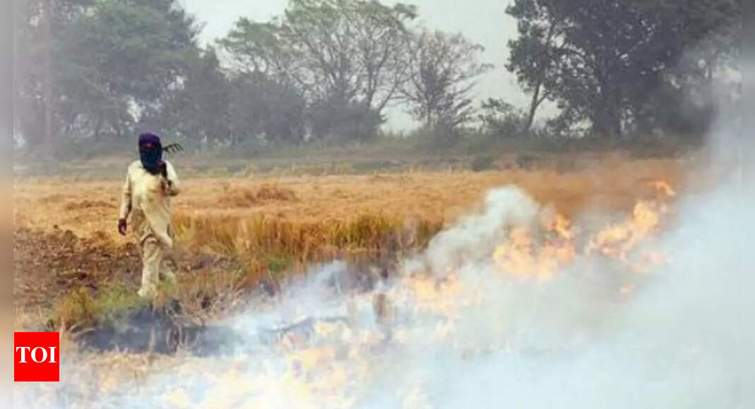 The bale-out: Farm fire-free in near future? Why Haryana has turned a ...