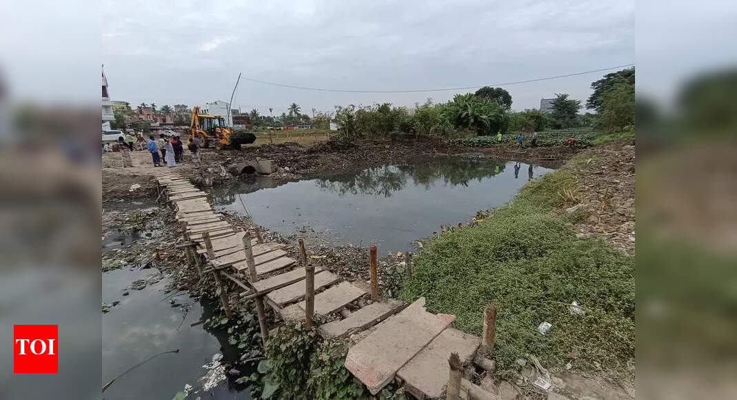 First Direct Link Between Hatiara and New Town Through New Box Bridge ...