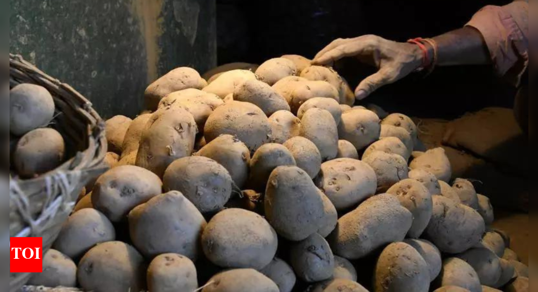 West Bengal Potato Prices Spike Amid Traders' Strike Threats | Kolkata ...