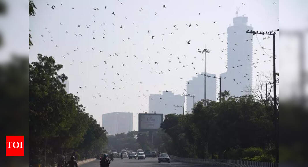 Noida Sees Improvement in Air Quality: AQI Drops to Moderate Levels ...