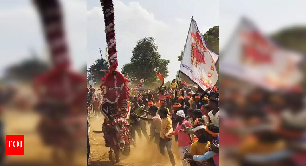 Iconic Haveri Bull 'Karnataka Nandi' Captivates Audiences at 140th ...