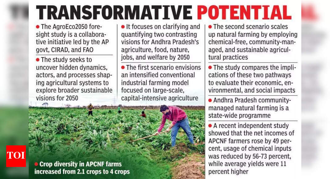 Natural Farming Can Double Employment in Andhra Pradesh by 2050: New ...