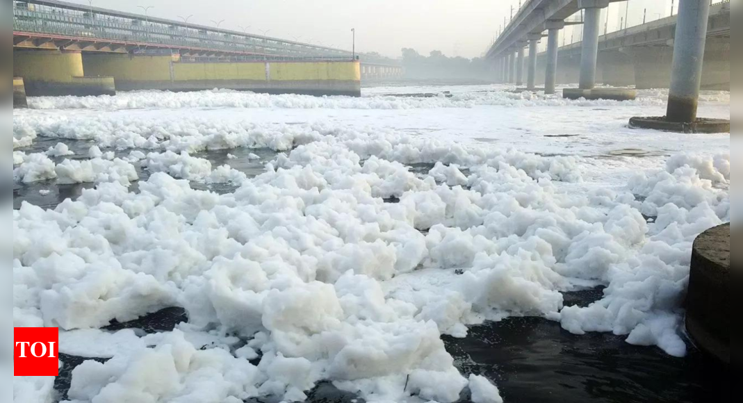 Yamuna River Pollution: Rising Ammonia Levels May Disrupt Delhi Water ...
