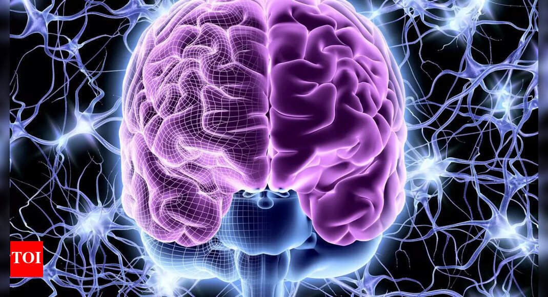 How does brain react during the time of death - Times of India