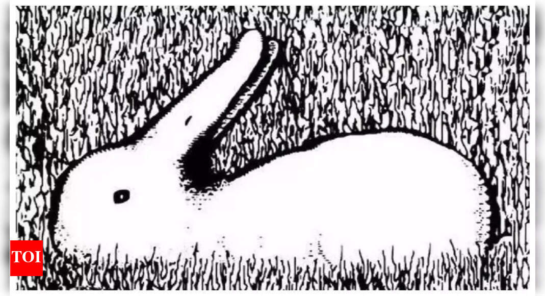 Optical Illusions: Duck or rabbit? The animal you see first can say if ...