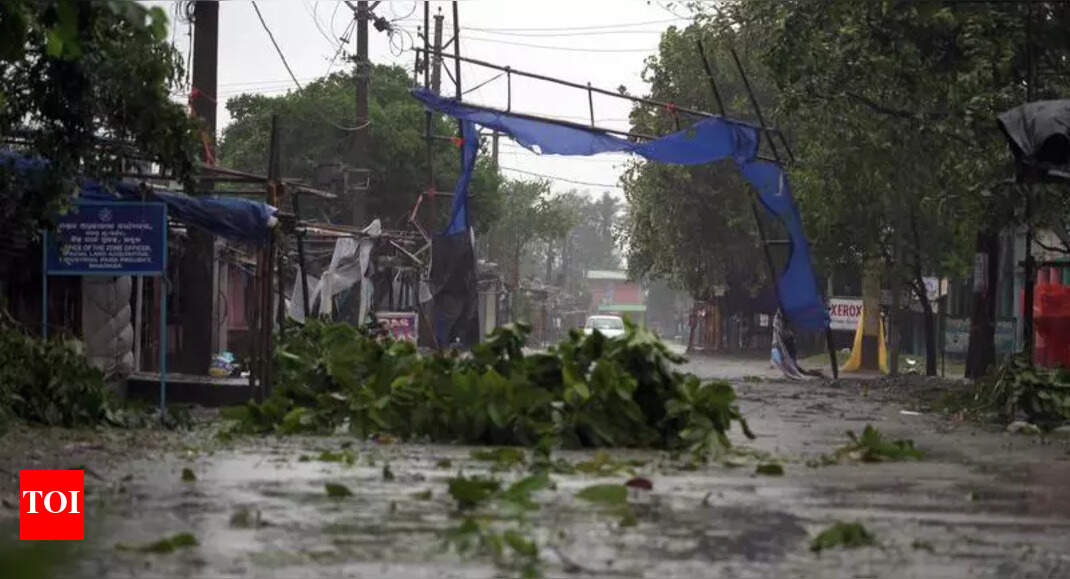 Tragic Loss: 30 Lives Claimed by Natural Disasters in Odisha This ...