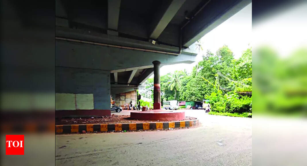 Buffer zone a hurdle for Hath Katro Khamb’s ‘protected site’ bid | Goa ...