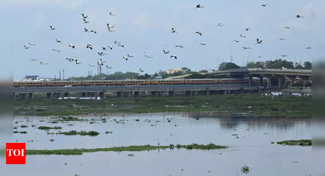 Madurai Corporation Unveils Plans for Vaigai River Restoration and ...