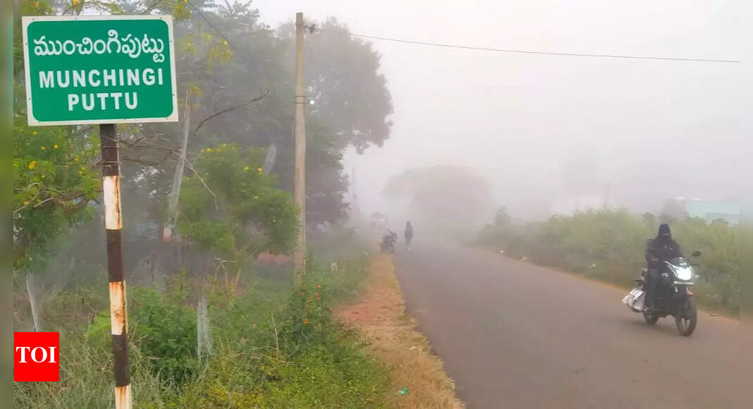 Andhra Pradesh Weather: Winter expected to be mild, with no cold wave ...