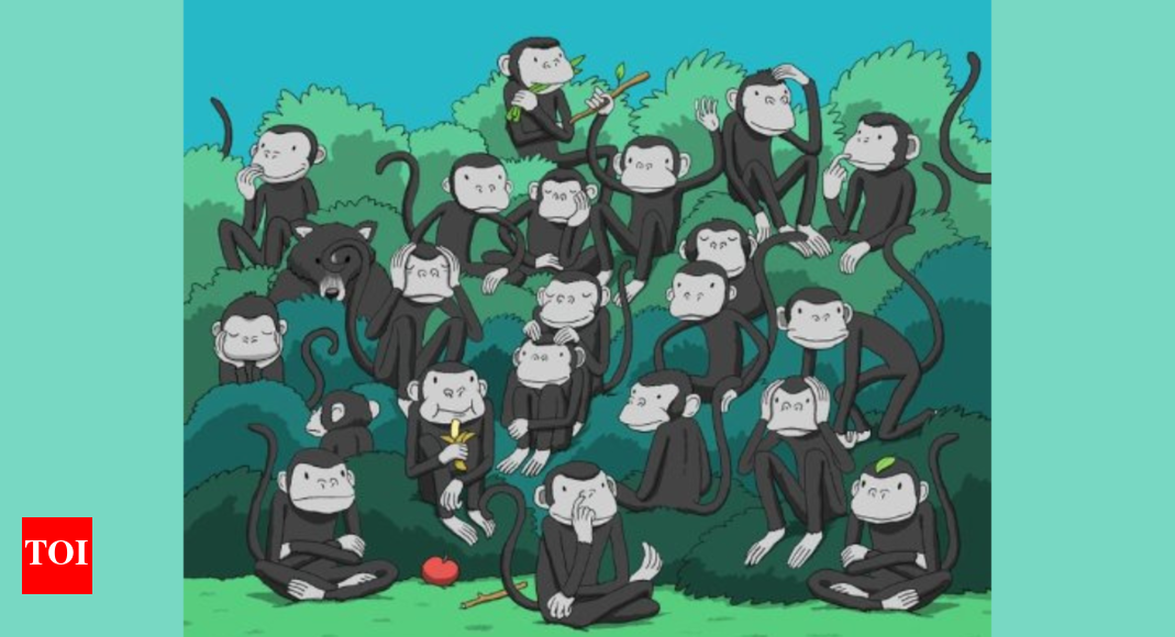 Optical Illusion: Can you spot the hidden bear in this picture ...