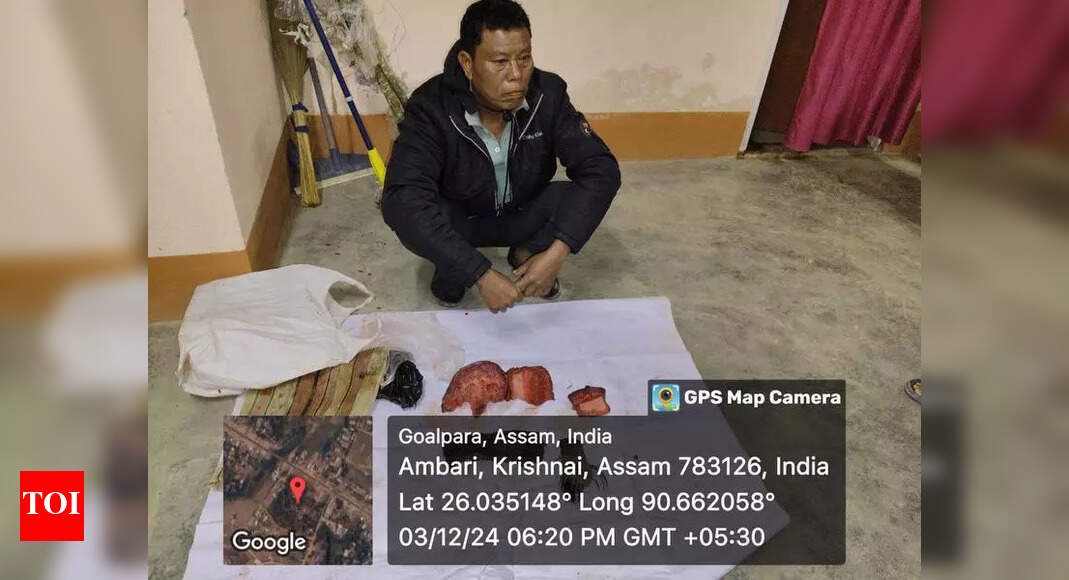 Arrest of Elephant Poacher in Goalpara: Body Parts Seized | Guwahati ...