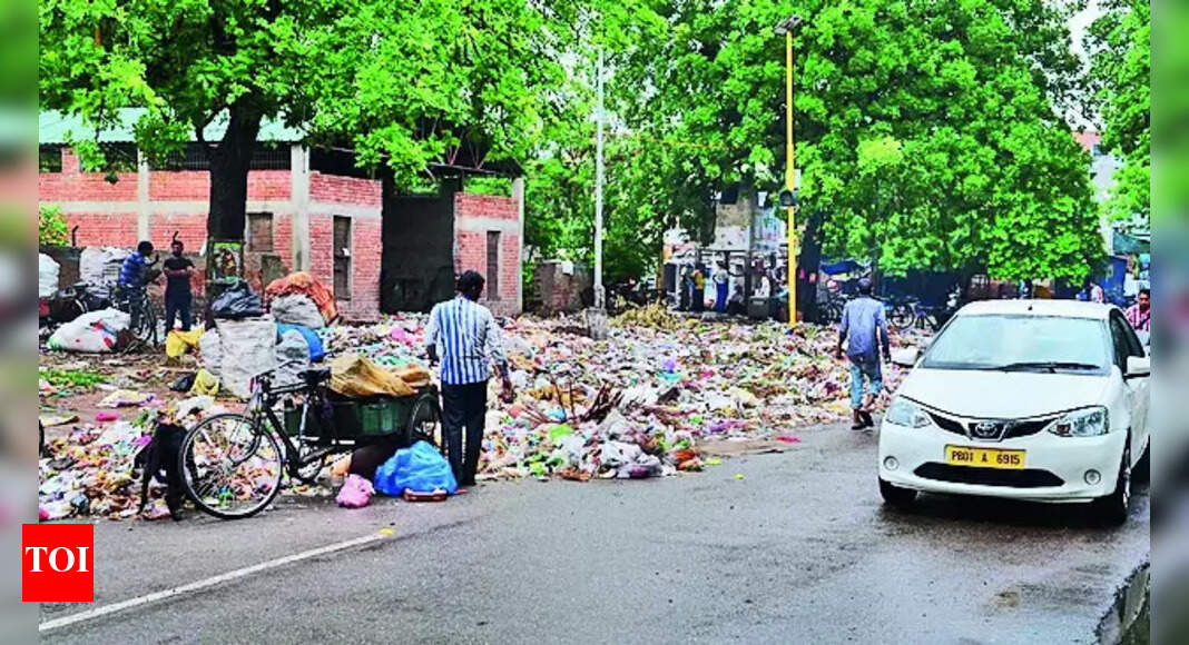 Mohali Garbage Crisis: Urgent Need for Collaboration Between MC and ...