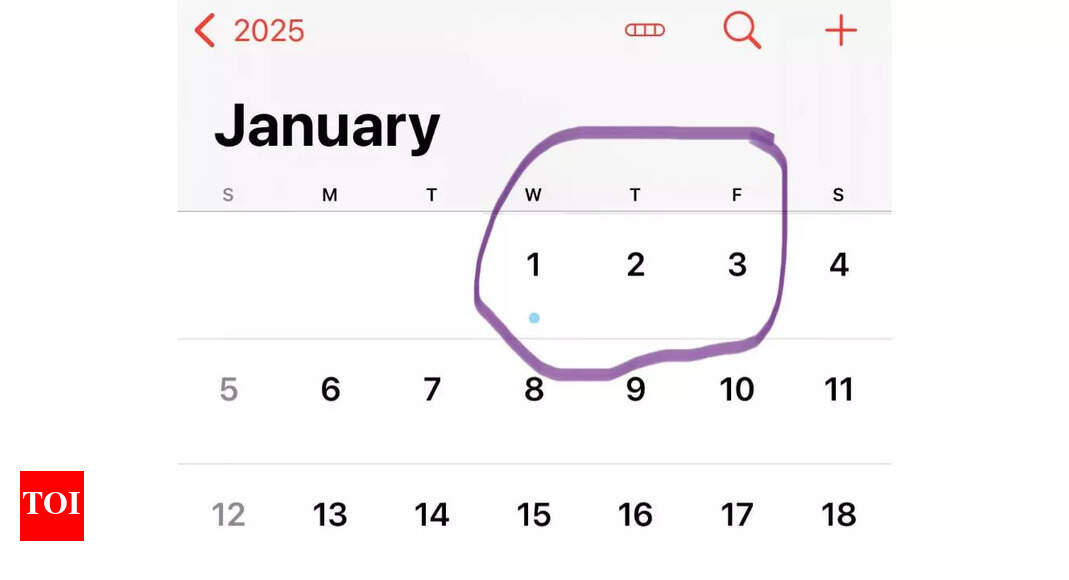 'Bro, we are literally starting 2025 with WTF, just like Covid year ...