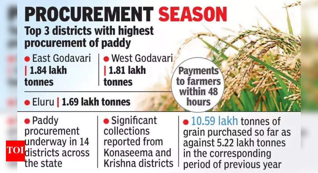 CM Naidu Promises Hassle-Free Paddy Procurement for Farmers in Andhra ...