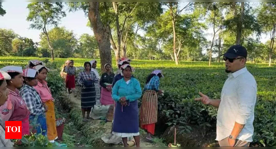 CWC Launches Campaign to Combat Child Marriage and Trafficking in ...