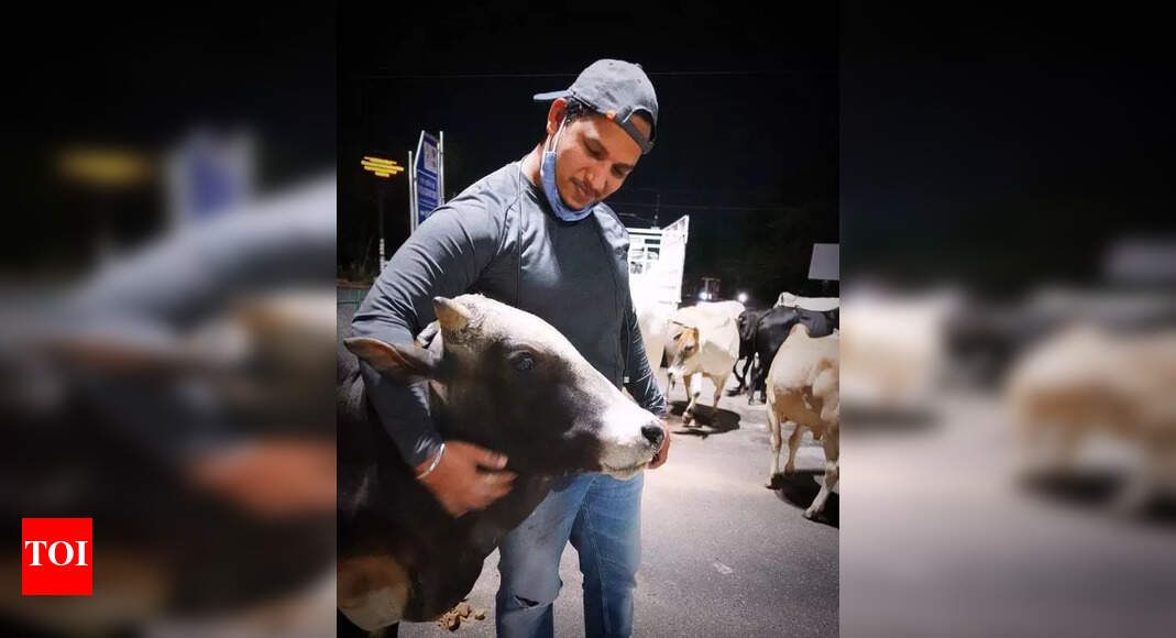 Compassionate Animal Rescue Team Saves Abandoned Cattle in Bhubaneswar ...