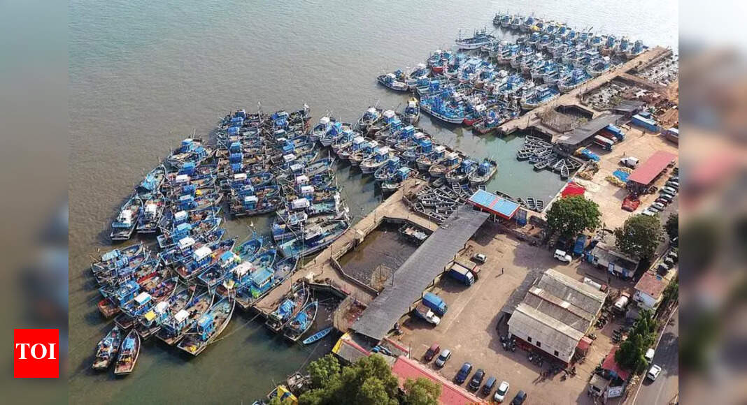 Malim jetty’s persistent filth & hygiene issues land in HC | Goa News ...