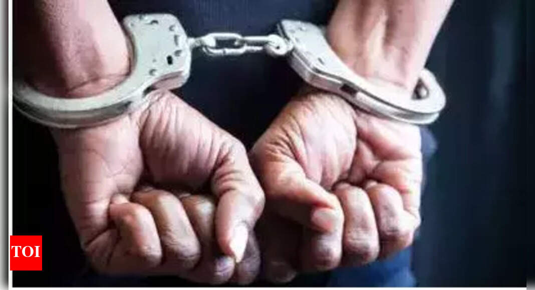Chennai Police Arrest Four-Man Gang Plotting to Loot Homes | Chennai ...