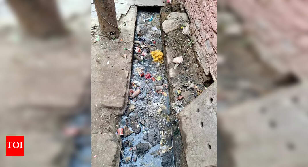 Sector 51 Noida Residents Urge Action on Clogged Drains and Garbage ...