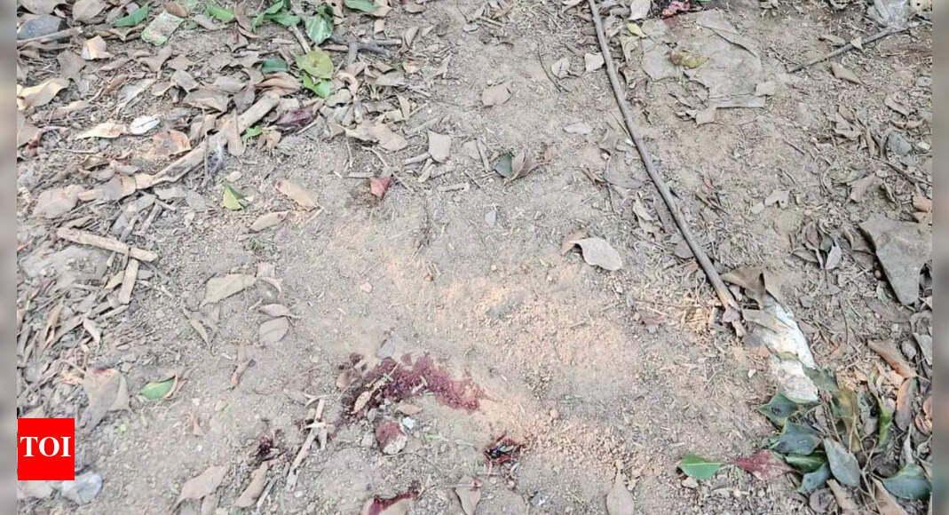 Delhi: ‘Good Samaritan’ turns out to be murder suspect | Delhi News ...