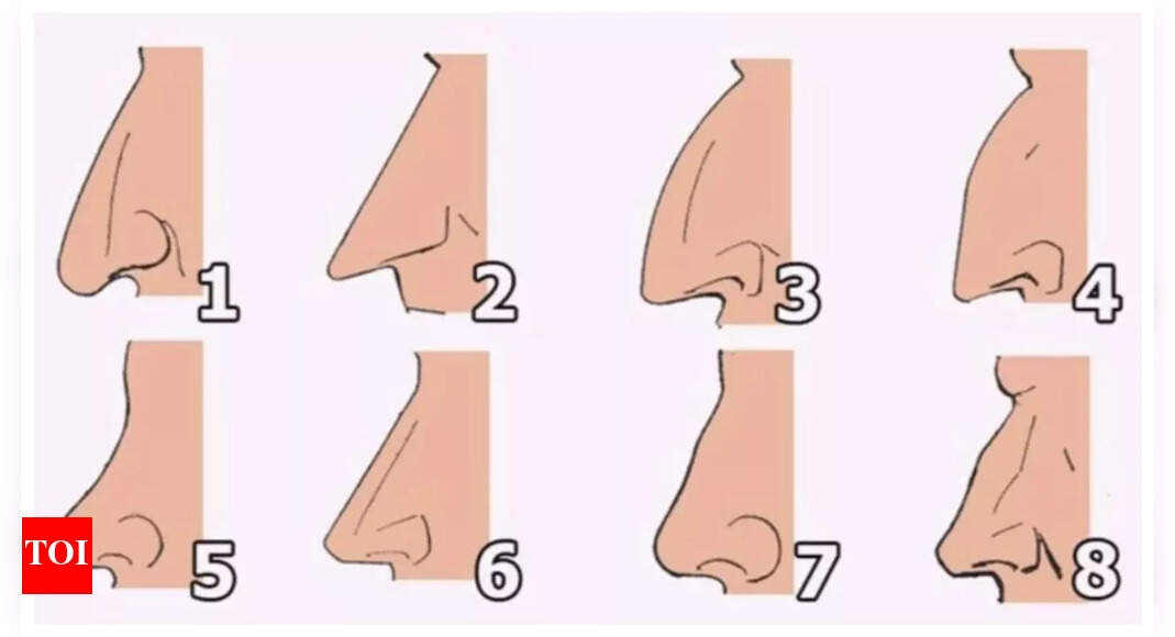 Personality test: Your nose shape reveals something unique about your ...