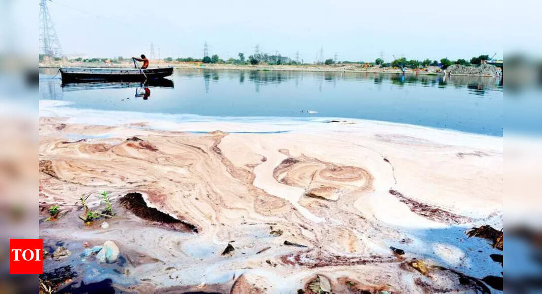 Yamuna River Pollution Surges: Faecal Coliform Count Hits Record High ...