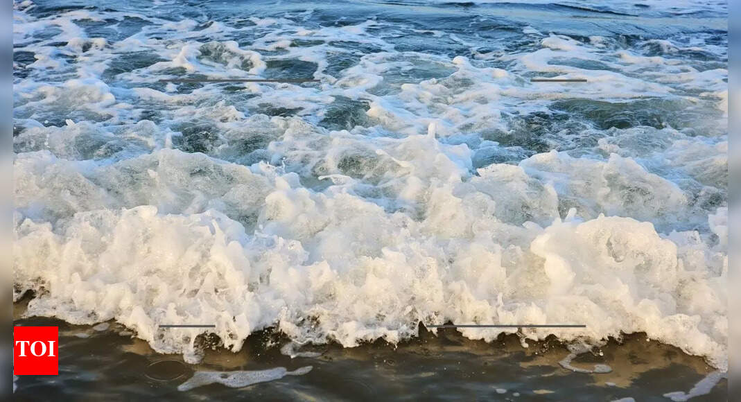 What causes tides in ocean water? - Times of India