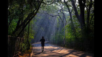 At 4°c, Dhule Emerges As Coldest In State | Nashik News - Times of India