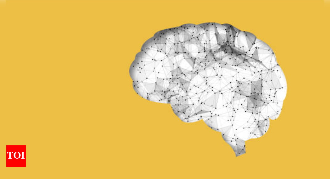 Brain Rot: Is your screen time killing your brain? The shocking truth ...