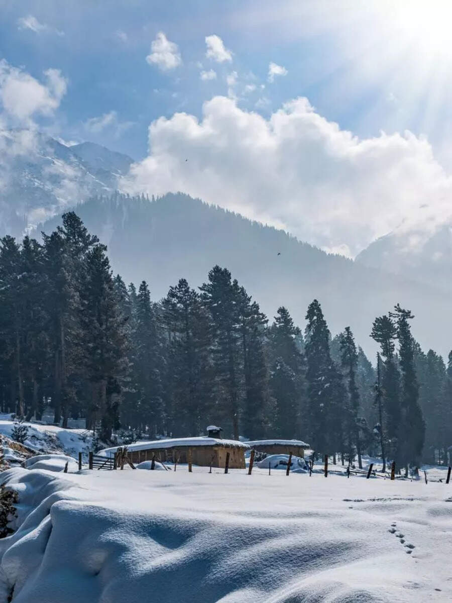 10 Snowy Destinations In India Where You Can Go For Winter Sports Right ...