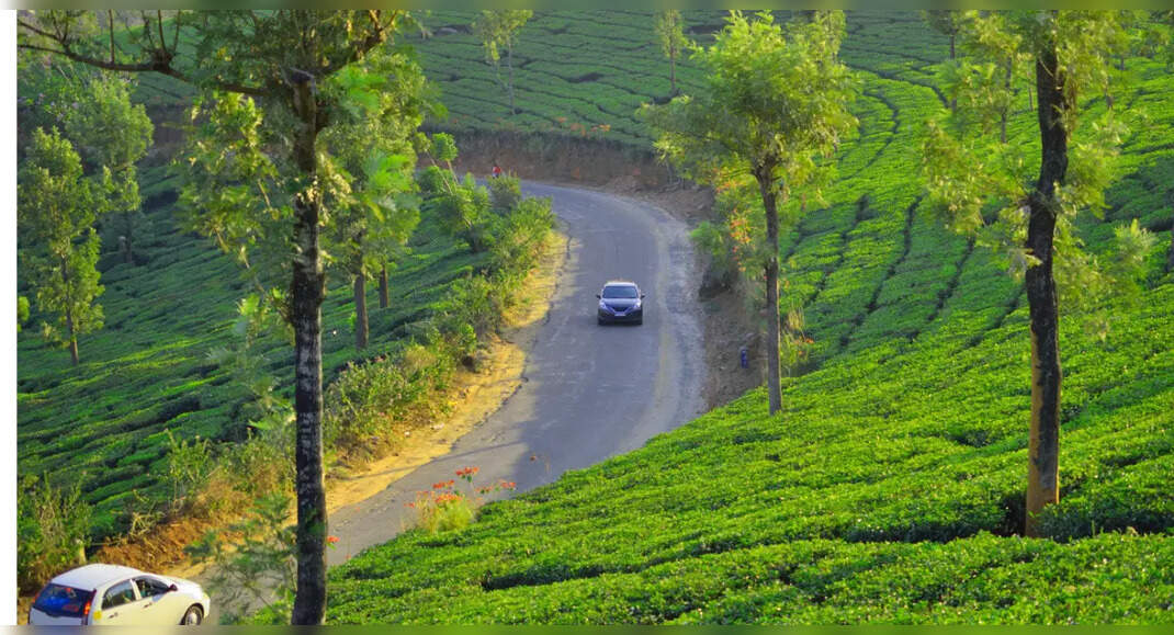 Exploring Wayanad’s wild side: Dive into waterfalls, wildlife, and tea ...