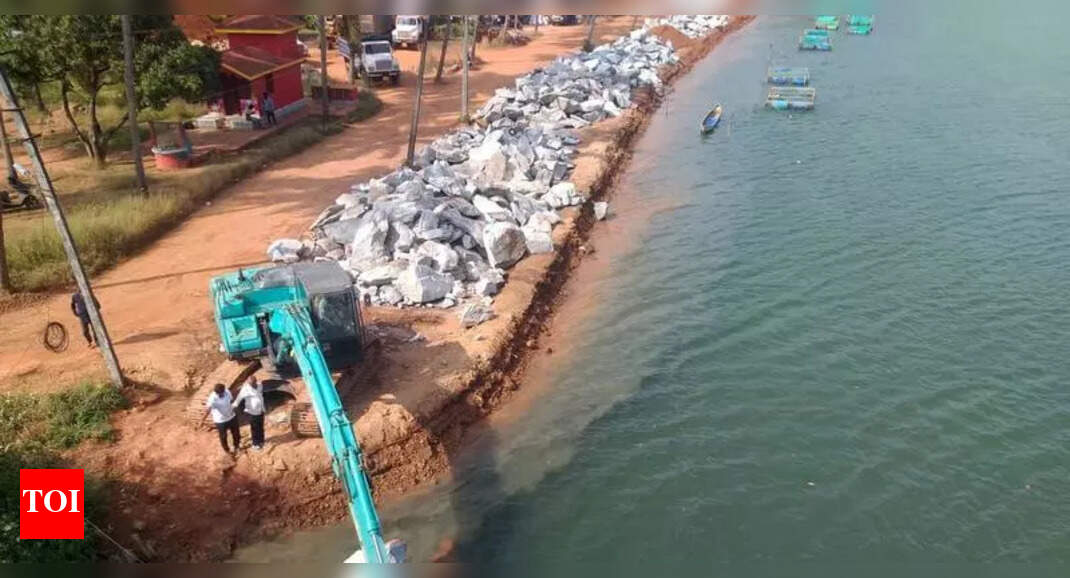 Forum of greens seeks action against river encroachment | Mangaluru ...