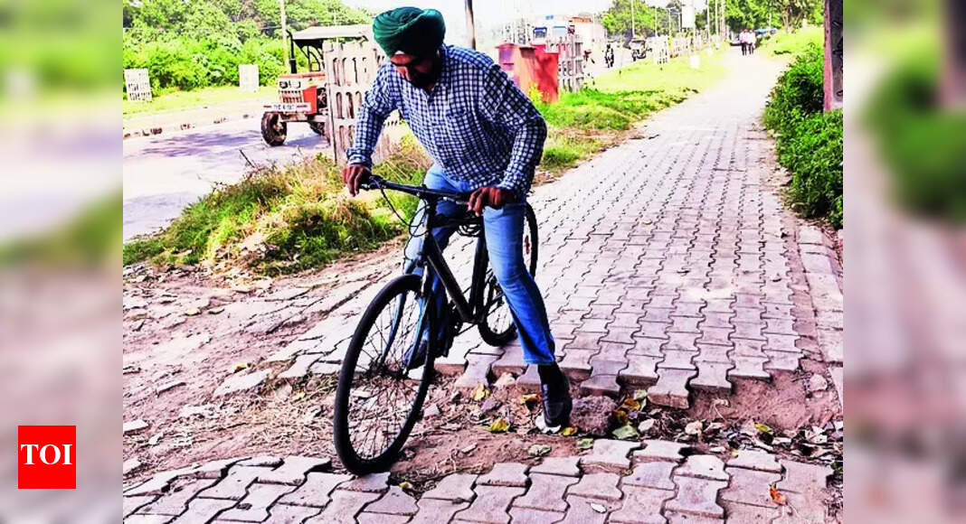 Cycle Tracks In Poor Health: Ut To Spend ₹58l On Maintenance ...