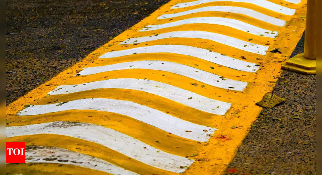 A speed breaker meant to save lives turns into accident hotspot: The ...