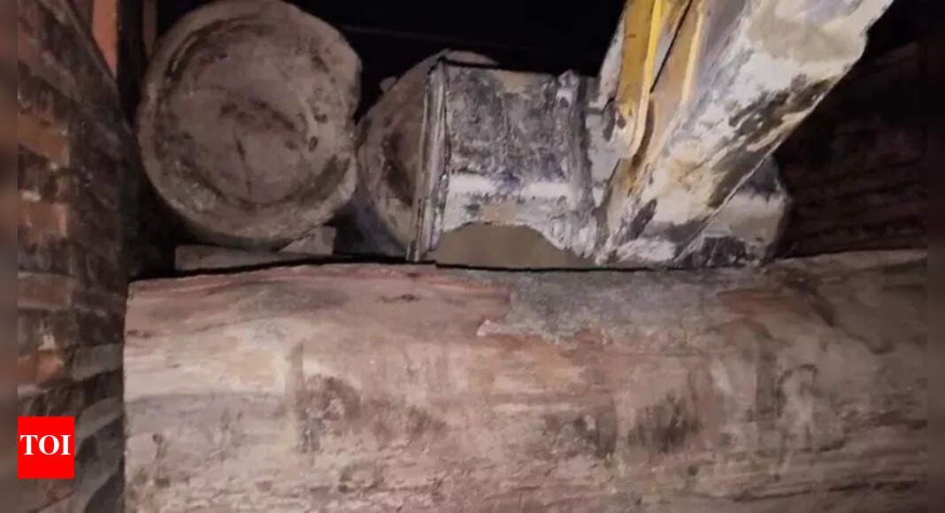Timber smuggling operation busted in Tinsukia | Guwahati News - Times ...