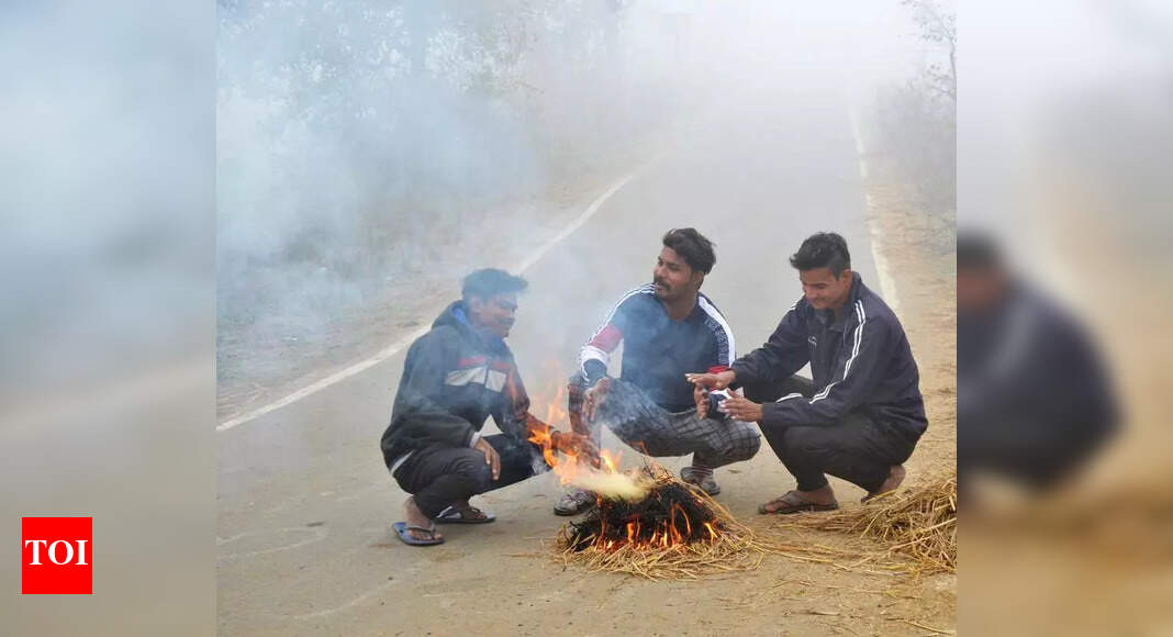 Cold wave alert in three districts of state till Dec 15 | Ranchi News - Times of India