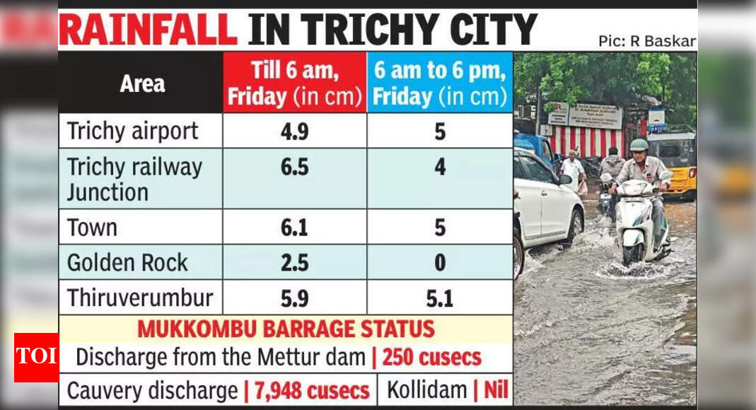Heavy rain exposes new flood risk areas in Trichy | Trichy News - The ...