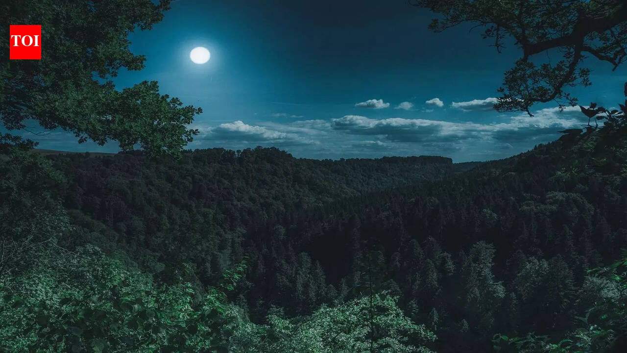 Full Moon December 2024 Affirmations For Each Zodiac Sign