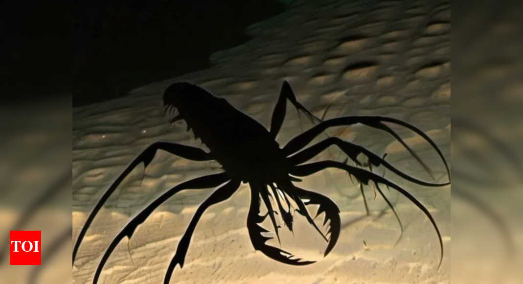 Darkness unveiled: Fierce alien-like predator emerges from Earth’s ...