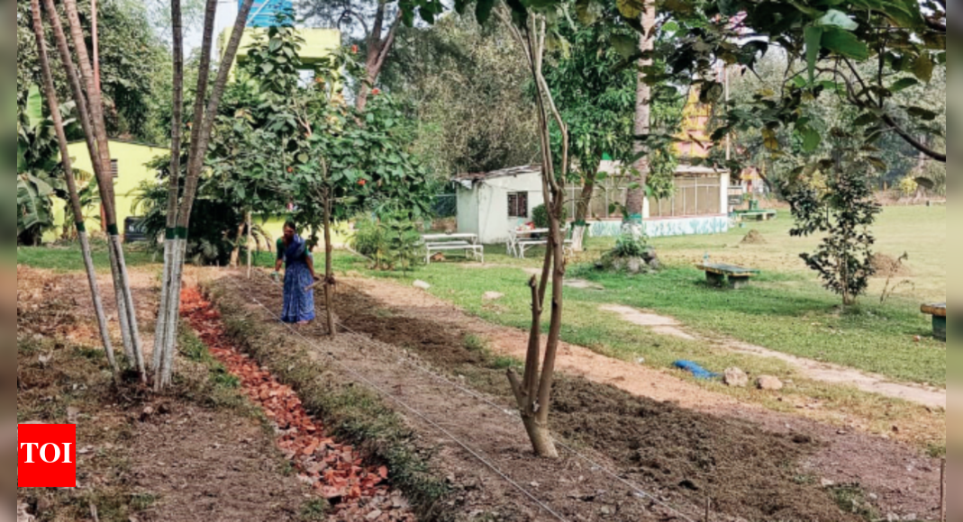 Kolkata: 184-year-old Eden Gardens now uses human fertiliser | Kolkata ...