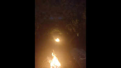 Dhule coldest city in state, Niphad farmers worried lot | Nashik News ...