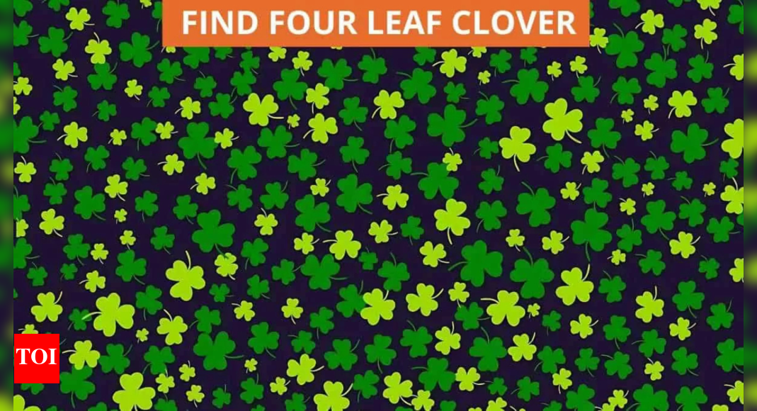 Optical Illusion: Only a highly observant person can find the 4-leaf ...