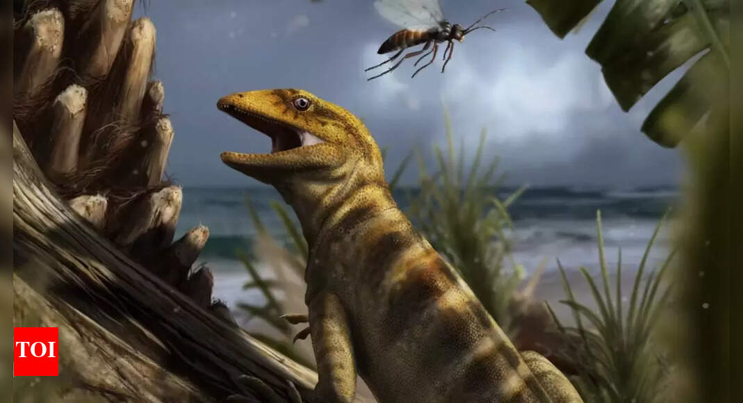 History of evolution rewritten? Discovery of 205-million-year-old ...