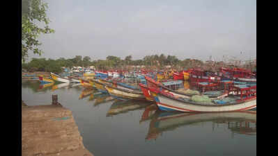 New fishing harbour in Kothapatnam soon | Vijayawada News - Times of India