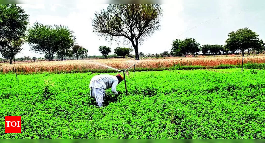 Goa’s economic sectors need Rs 12.8k crore in FY26: Nabard | Goa News ...