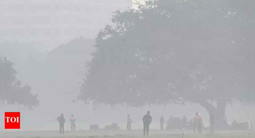 Mumbai Weather: Mercury drops to 14°C in Mumbai, temperature to rise in ...