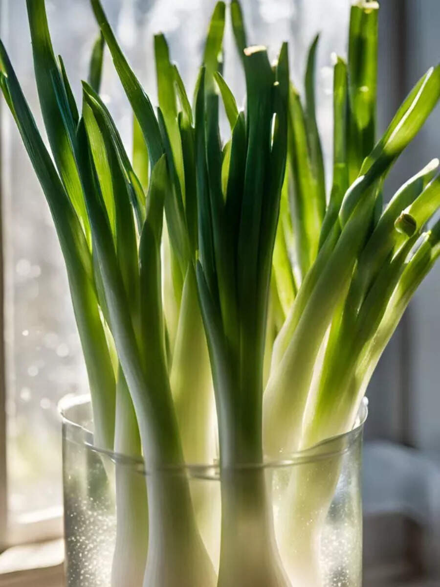 How to grow Spring Onion in the kitchen garden without soil (you only ...