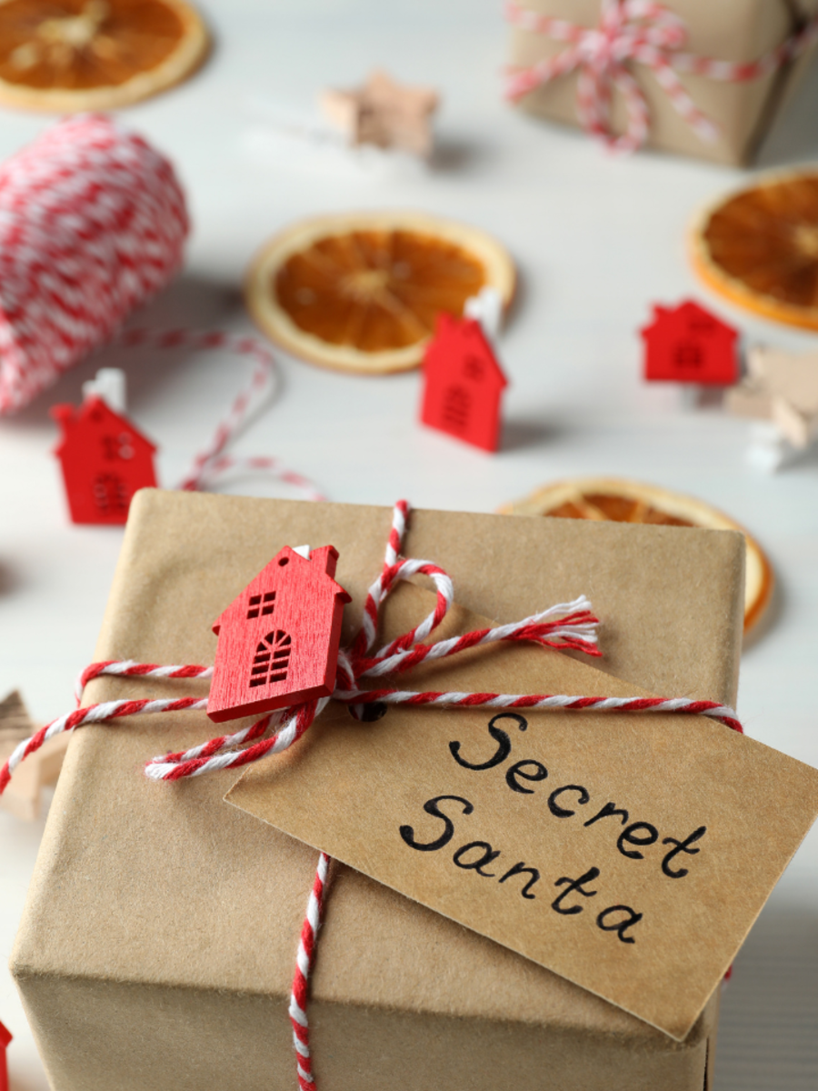 10 Perfect Secret Santa Gift Ideas for Colleagues | Times Now